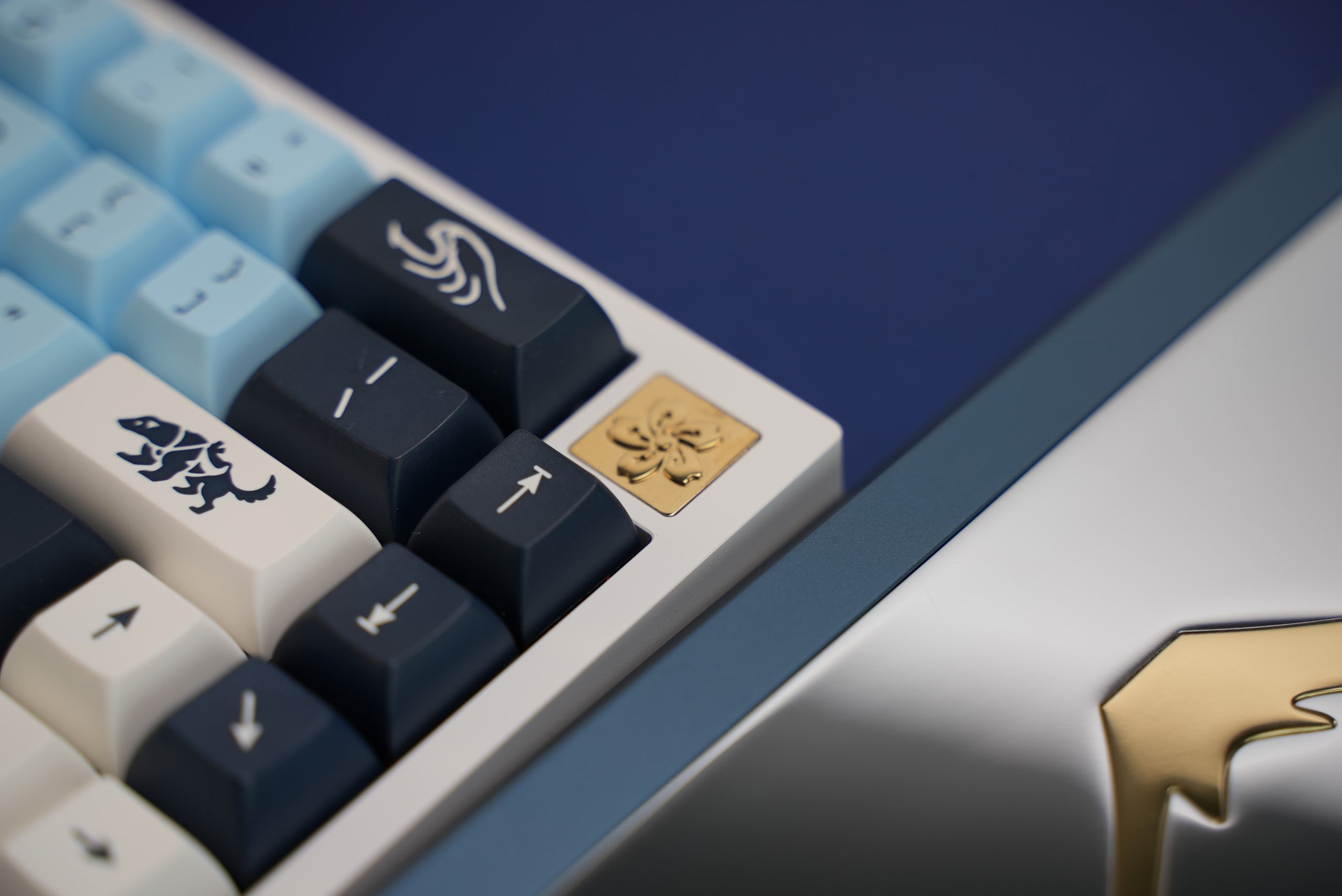 Fuji 65v2 Swirl Keyboard - Mizu Wave — Deskhero.ca Inc.