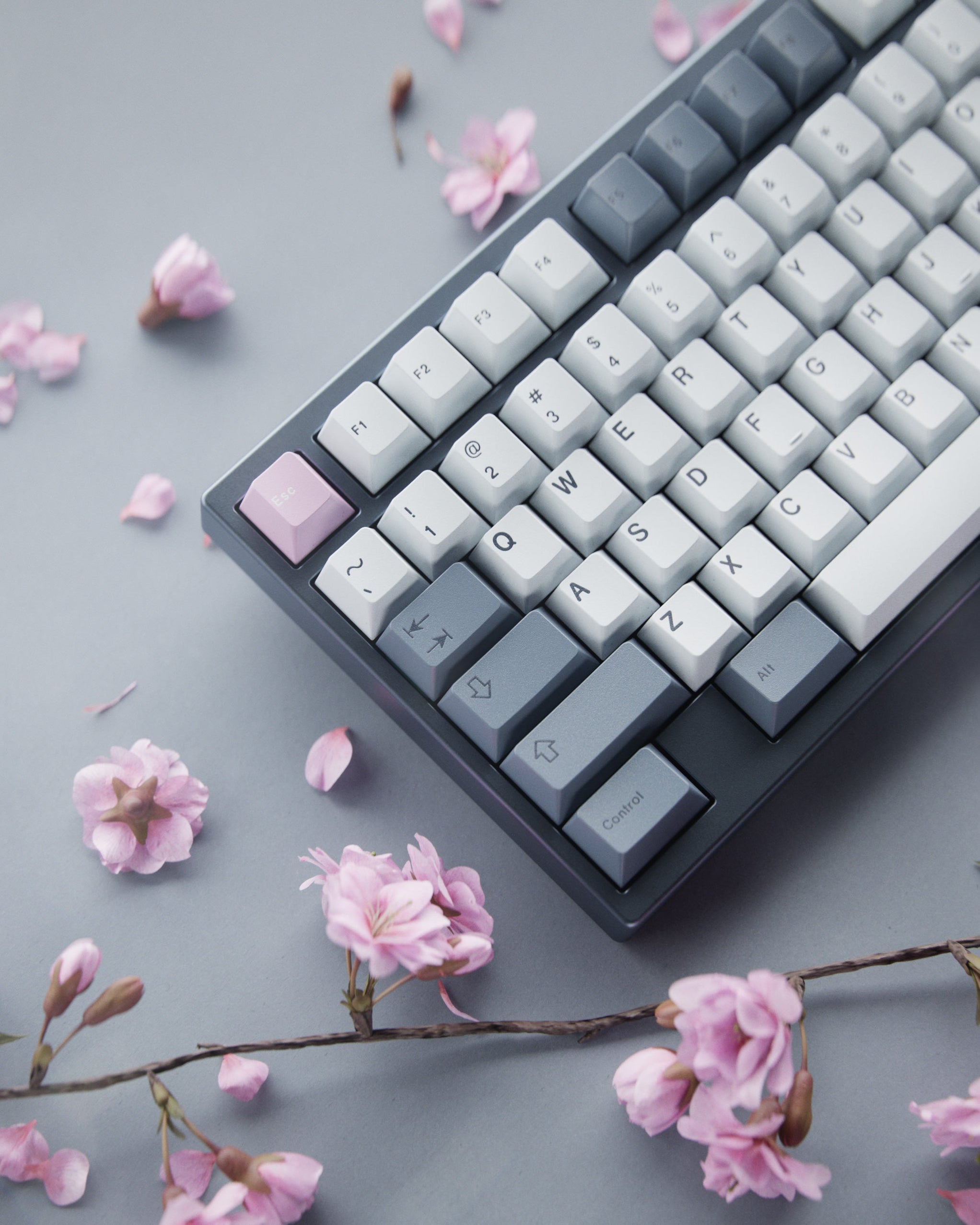 GMK Fuji Keycaps — Deskhero.ca Inc.